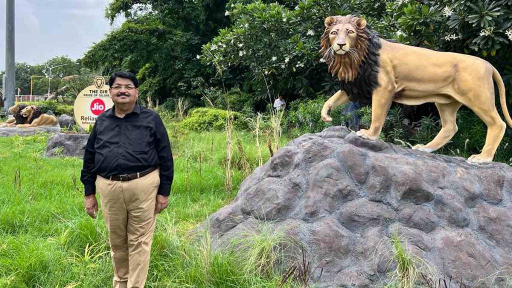 Asiatic Lion: એશિયાટીક સિંહ 143 વર્ષ પછી બરડા વન્યજીવ અભયારણ્યમાં ફરી ...