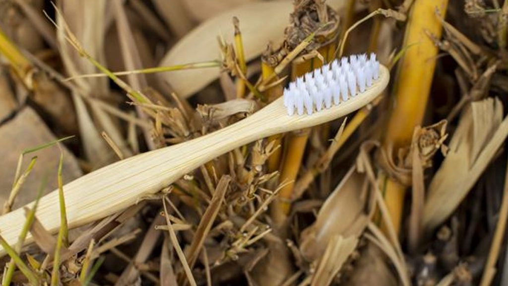 What are the benefits of using a bamboo toothbrush? - વાંસના ટૂથબ્રશનો ...