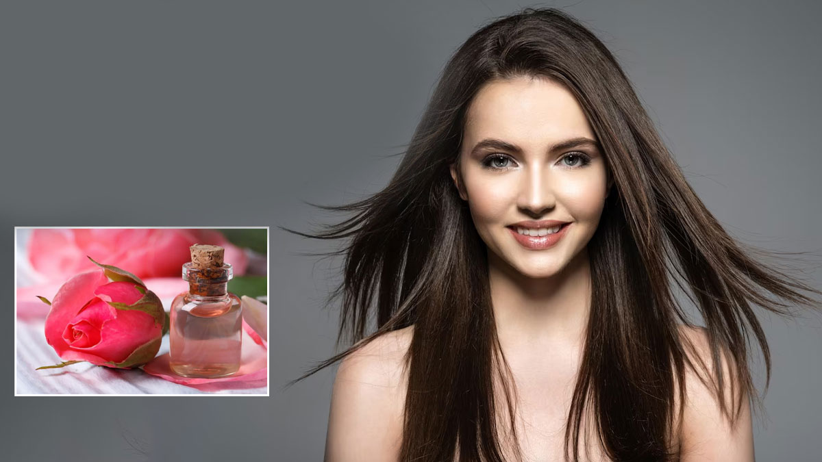 વાળ પર 4 રીતે લગાવો ગુલાબજળ, બનશે એકદમ મુલાયમ અને ચમકદાર- Apply rose ...