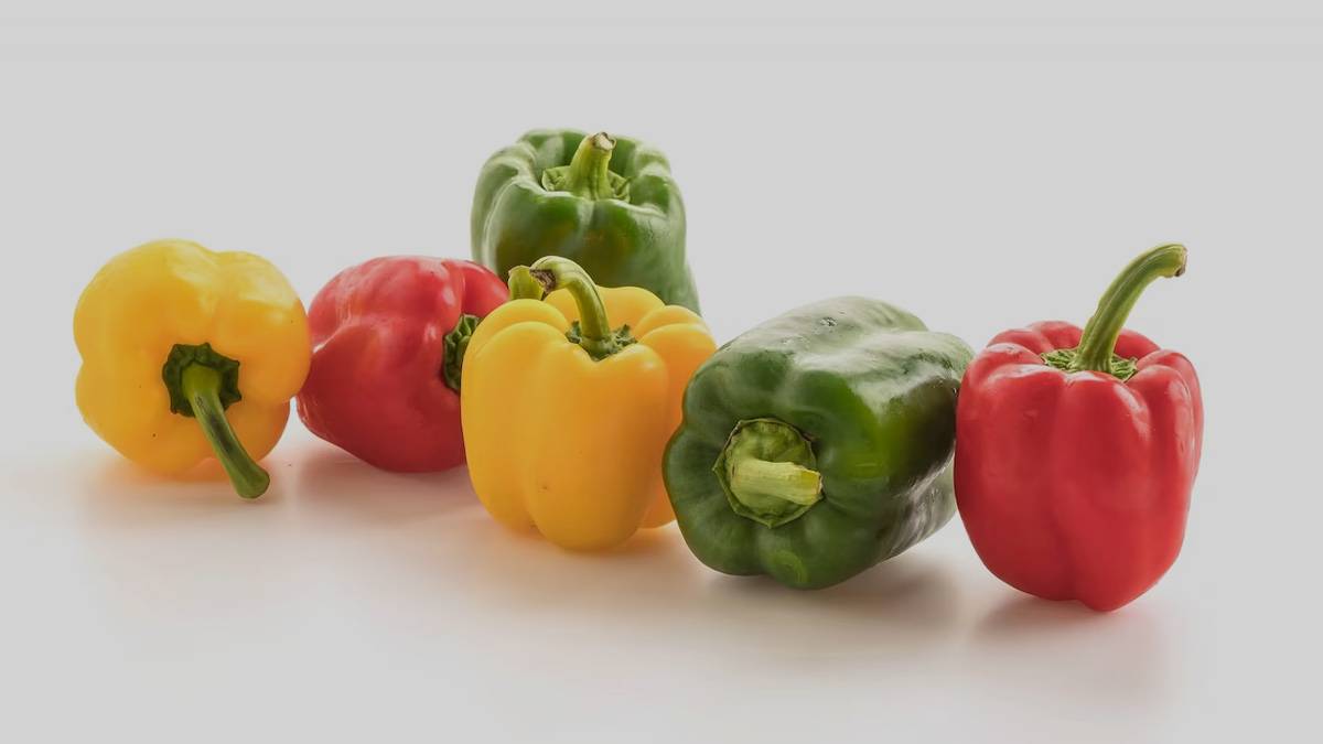 Health Benefits Of Capsicum: જાણો કેપ્સીકમ ખાવાથી મળતા આ અનોખા ...