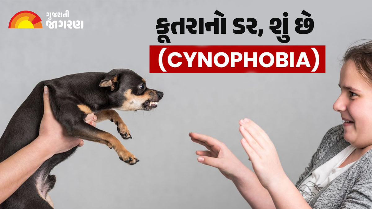 Cynophobia: કૂતરાથી ડરવું એ પણ એક માનસિકતા છે, જાણો સાયનોફોબિયાના ...