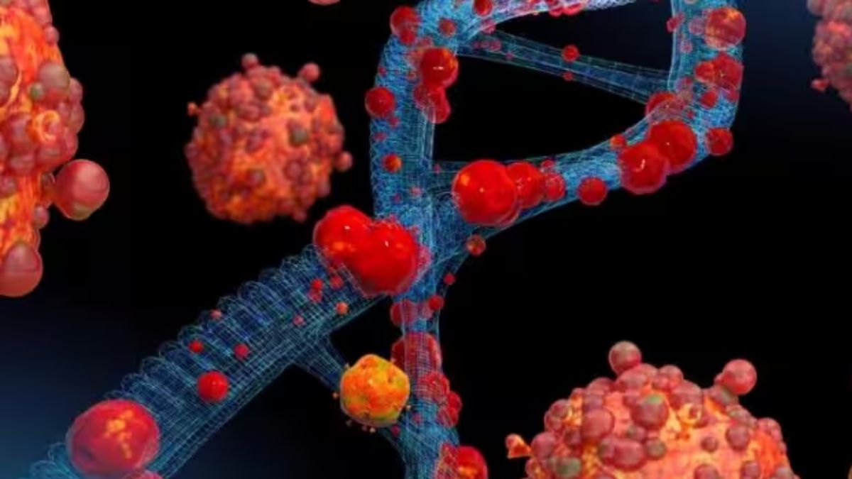 Pakistan News: પાકિસ્તાનમાં નવા વાયરસ Mpoxનો આતંક, પ્રથમ કેસ મળ્યો ...