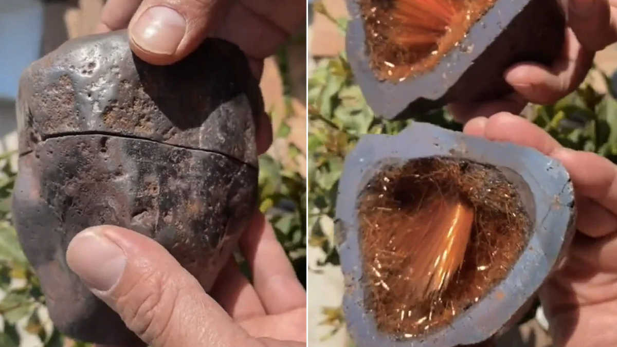 Stone inside video viral