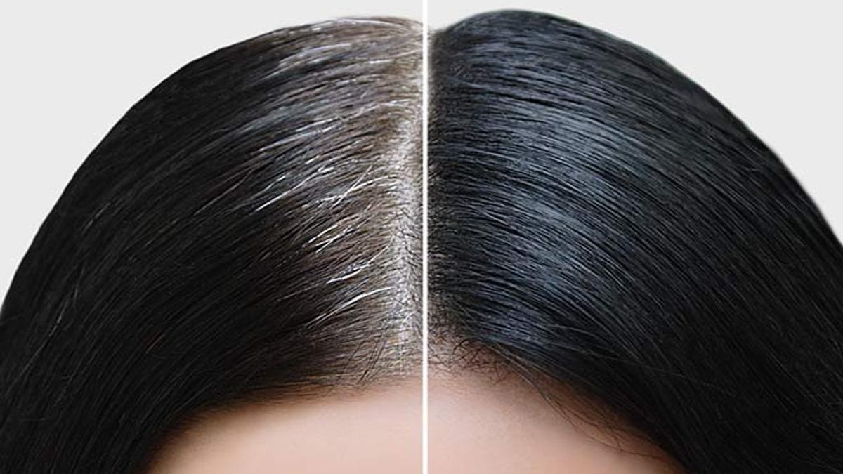 Jawed Habib Hair Tips: સફેદ વાળથી પરેશાન લોકોને જાવેદ હબીબે આપી સલાહ, આ ...