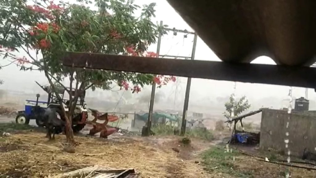 સુરતના વાતાવરણમાં પલટો, ઉમરપાડામાં ગાજવીજ સાથે વરસાદથી જગતનો તાત ચિંતિત ...