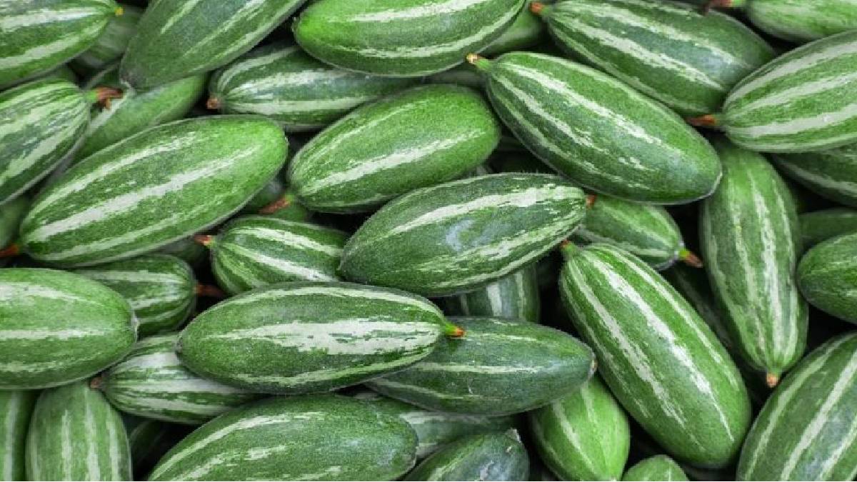 Oxygen Therapy: ઓક્સિજન થેરાપી શું છે? જાણો તેના ફાયદા ડોક્ટર પાસેથી ...