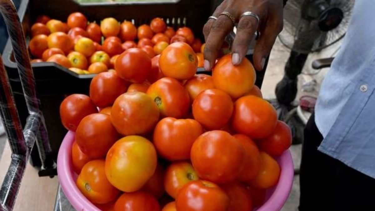 Tomato Prices: ટામેટાના ભાવે ફરી વધાર્યું ટેન્શન, આગામી દિવસોમાં થઈ શકે છે 300 રૂપિયા પ્રતિ કિલો ...