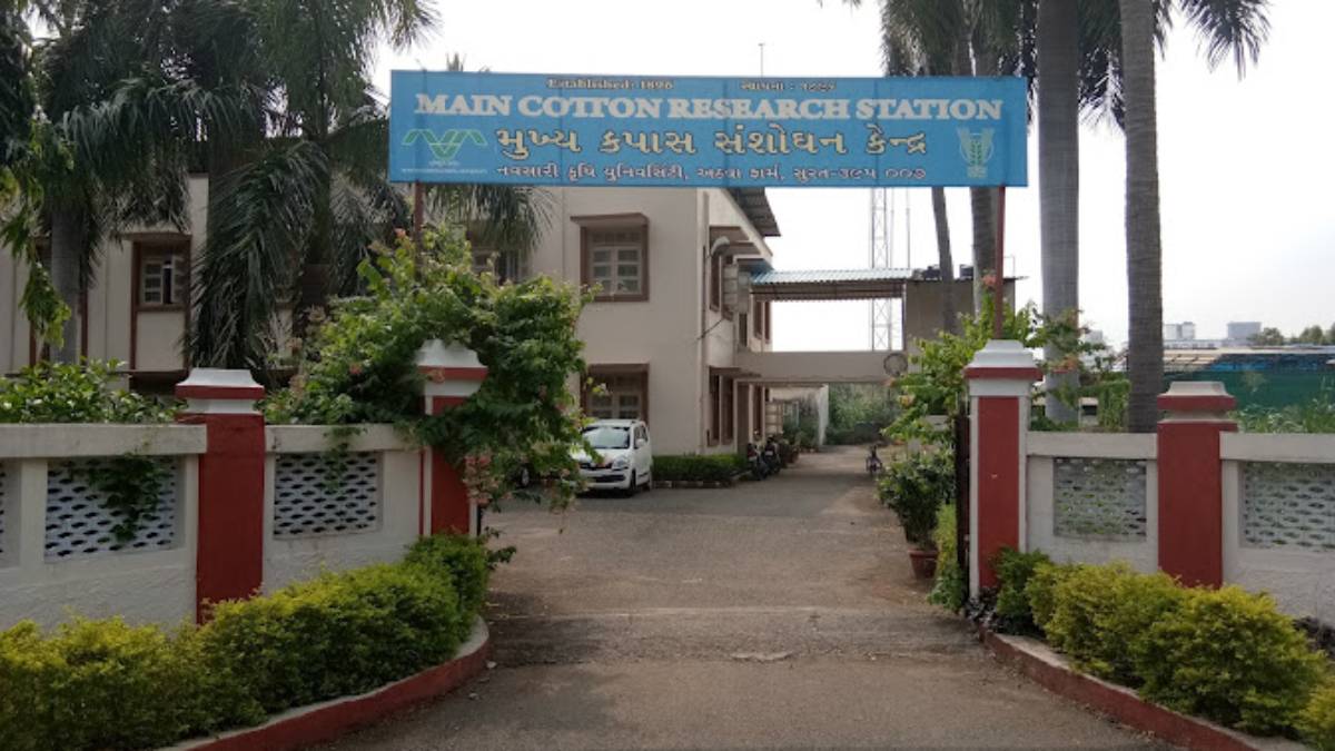 ઈ.સ. 1886માં બ્રિટીશરો દ્વારા સુરત ખાતે કપાસ સંશોધન યોજનાની શરૂઆત ...