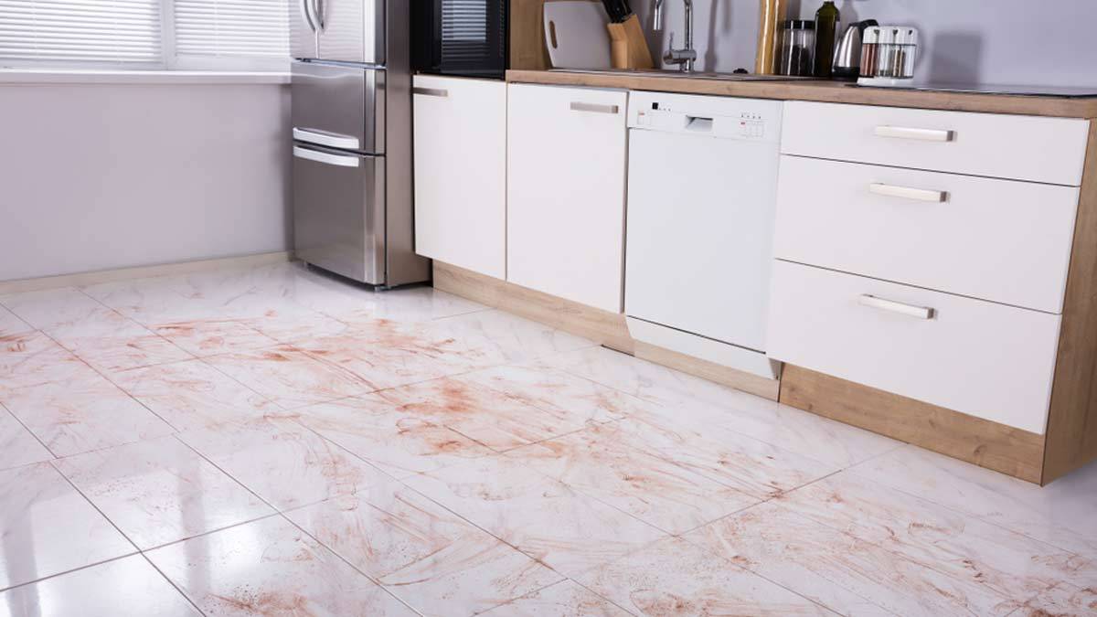 Tiles Cleaning Tips: આ ઉપાયો અપનાવી ગંદી કિચન ફ્લોર ટાઇલ્સને બનાવો ...