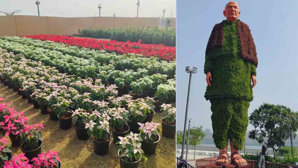 Ahmedabad Flower Show 2024: 30 ડિસેમ્બરથી સાબરમતી રિવરફ્રન્ટ ખાતે ...