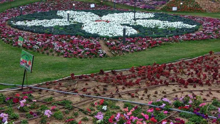 Ahmedabad Flower Show 2024: 30 ડિસેમ્બરથી સાબરમતી રિવરફ્રન્ટ ખાતે ...