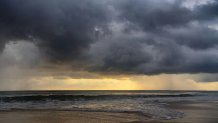 Monsoon 2024: આ વર્ષે કેવું રહેશે ચોમાસું, હવામાન વૈજ્ઞાનિકોએ આપ્યા ગુડ ...