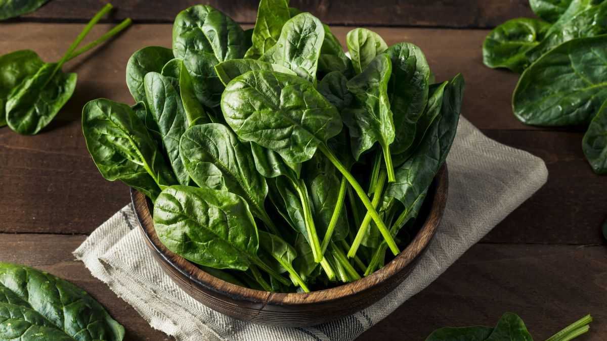 Benefits of eating spinach: પાલક હાડકાંને મજબૂત બનાવવામાં અને લોહીની ...