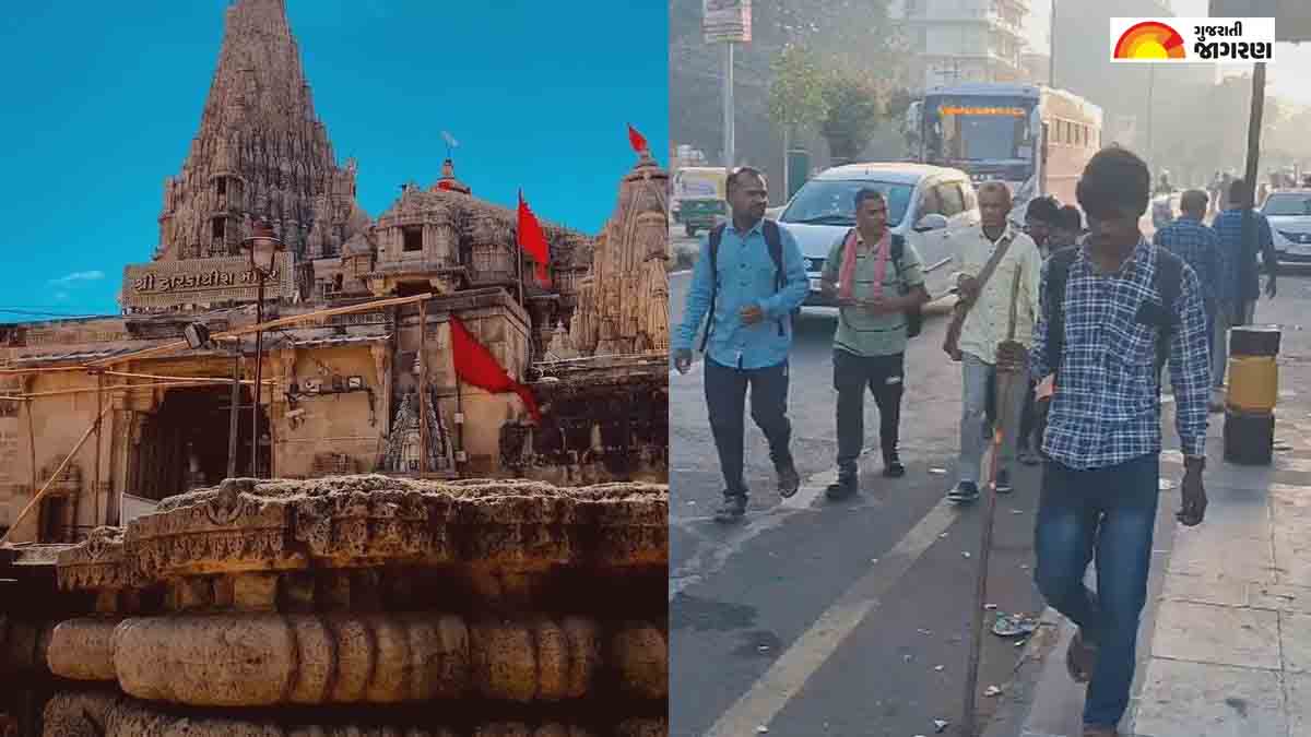 Devbhoomi Dwarka News: દ્વારકામાં ફૂલડોલ ઉત્સવમાં યાત્રિકોની સગવડતા માટે તંત્રની તડામાર તૈયારીઓ ...