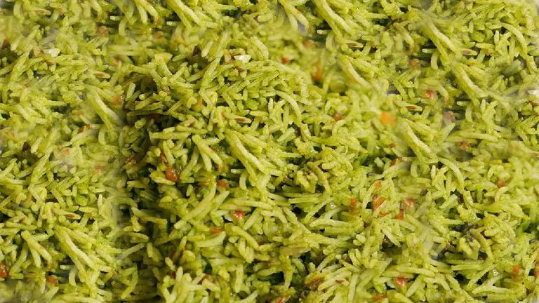 Palak Rice Recipe: આજે ટ્રાય કરો પાલક રાઈસ, જાણો સ્ટેપ બાય સ્ટેપ રેસિપી