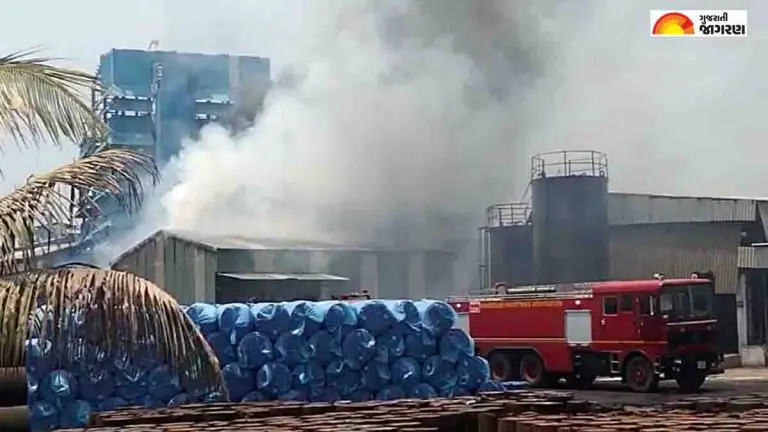 Vadodara News: વડોદરાની નંદેસરી ઔદ્યોગિક વસાહતમાં ડામર બનાવતી કંપનીમાં ...