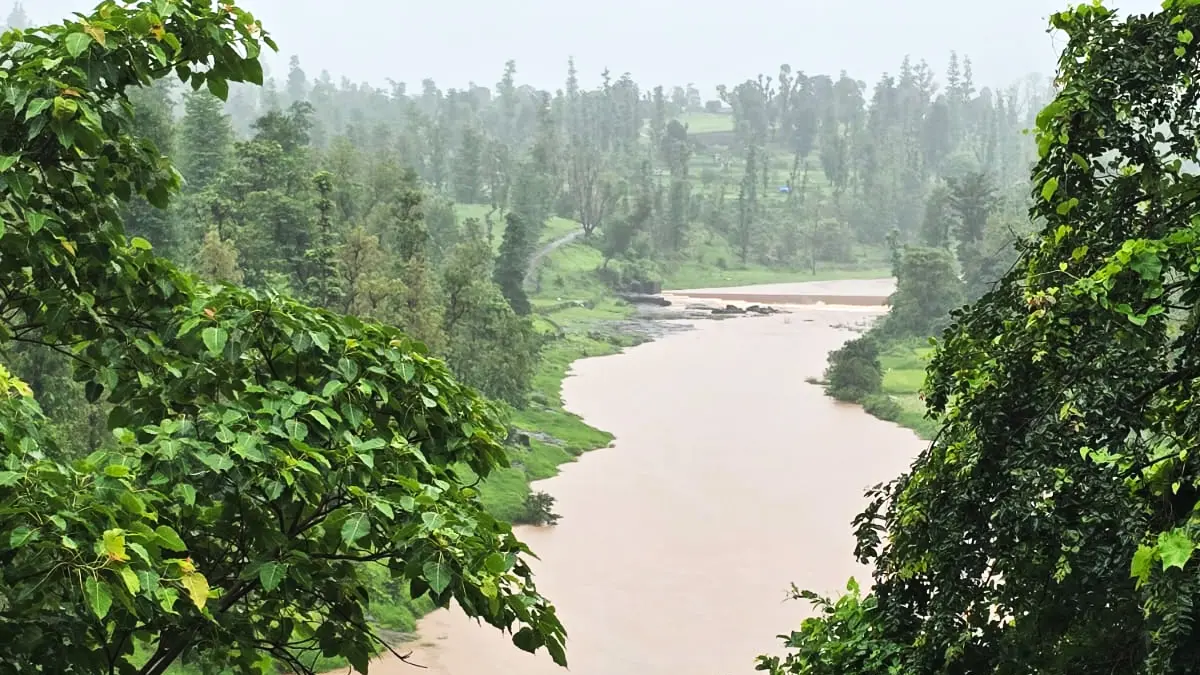 Dang Rain News: ડાંગ જિલ્લામાં છેલ્લા 24 કલાકમાં ધોધમાર વરસાદ ...