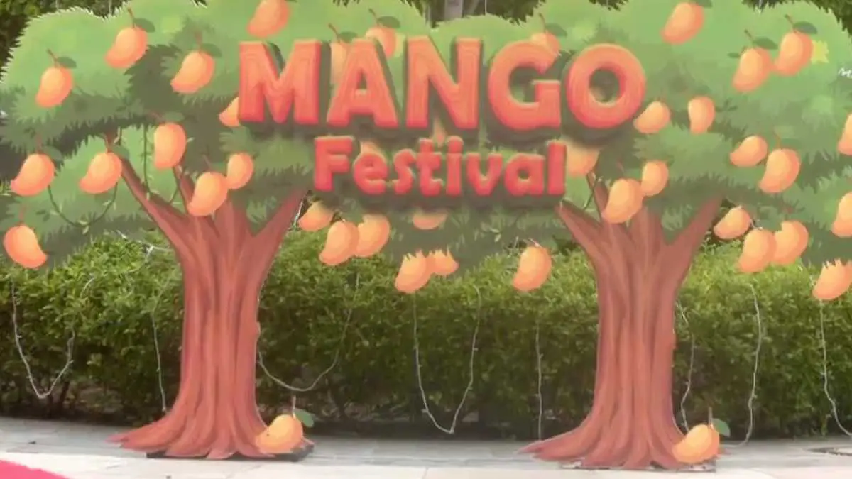 Mango Festival in Delhi: દશહરી, માલદા અને લંગડા સહિત અહીં છે કેરીની ...