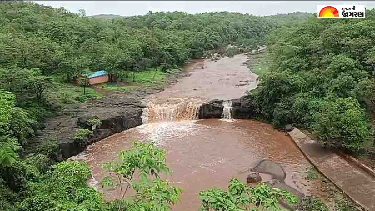 Surat News: ધોધમાર વરસાદથી ઉમરપાડાનો દેવઘાટ ધોધ સોળે કળાએ ખીલી ઉઠ્યો ...