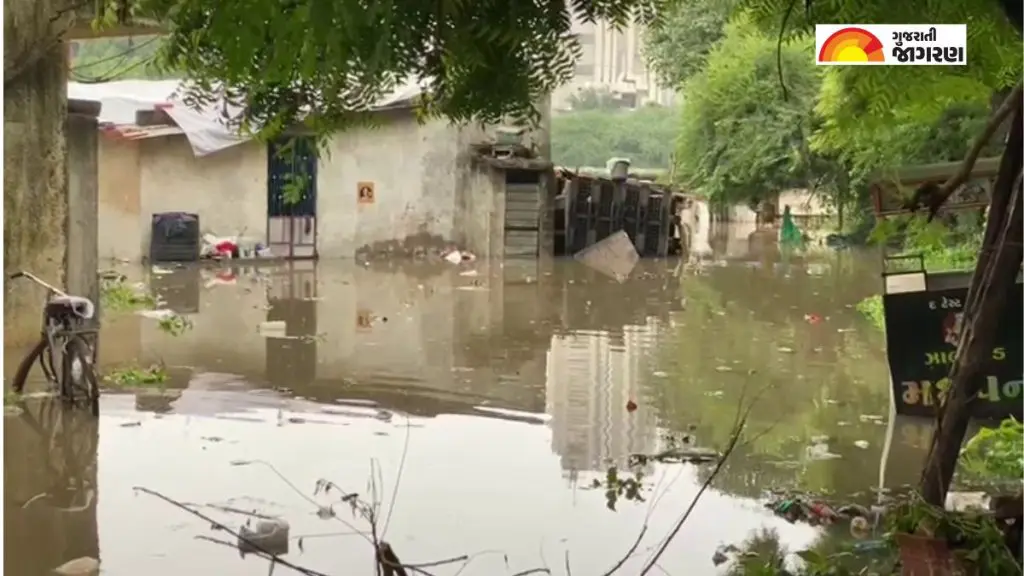 Vishwamitri River: વિશ્વામિત્રીએ વડોદરાવાસીઓના જીવ અદ્ધર કર્યા, નદી ભયજનક સપાટીએ પહોંચી ...