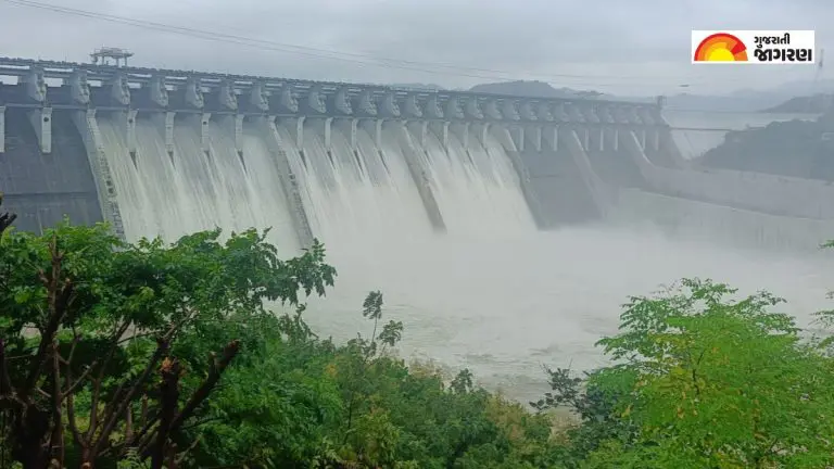 Narmada Rain: નર્મદા જિલ્લામાં પડી રહેલા સતત વરસાદના કારણે અનેક ...