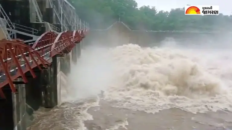 Vadodara News: ધોધમાર વરસાદથી જળાશયના જળસ્તરમાં વધારોઃ વાઘોડિયા નજીક ...