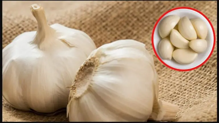 Chinese Garlic: તમે ભોજનમાં ઉપયોગ કરો છો તે લસણ ચાઈનીઝ છે કે નહી? કેવી ...