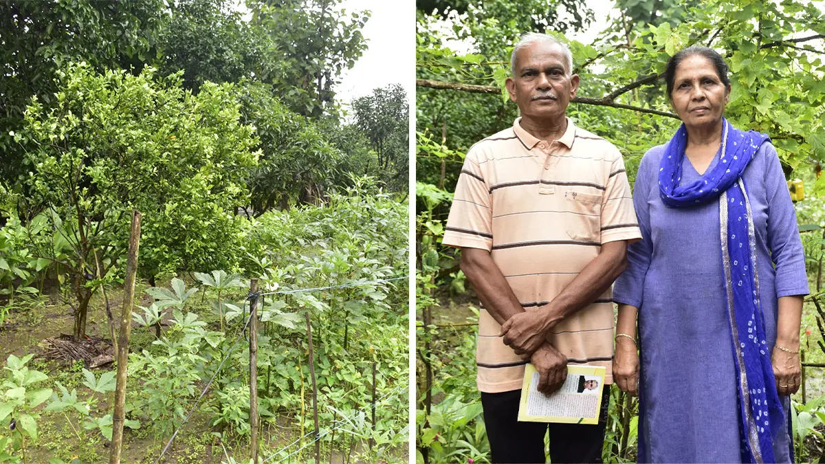 Tapi: વય નિવૃત્તિ બાદ દેગામા ગામના હેમંતભાઈએ શરૂ કરી પ્રાકૃતિક ખેતી ...