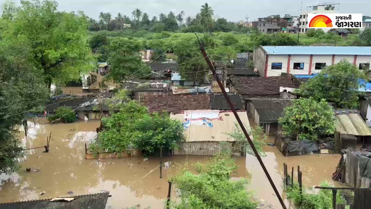 Surat Rain: સુરત જિલ્લાની મીંઢોળા નદી બે કાંઠે, બારડોલીના તલવાડી વિસ્તારમાં નદીના પાણી ભરાયા ...