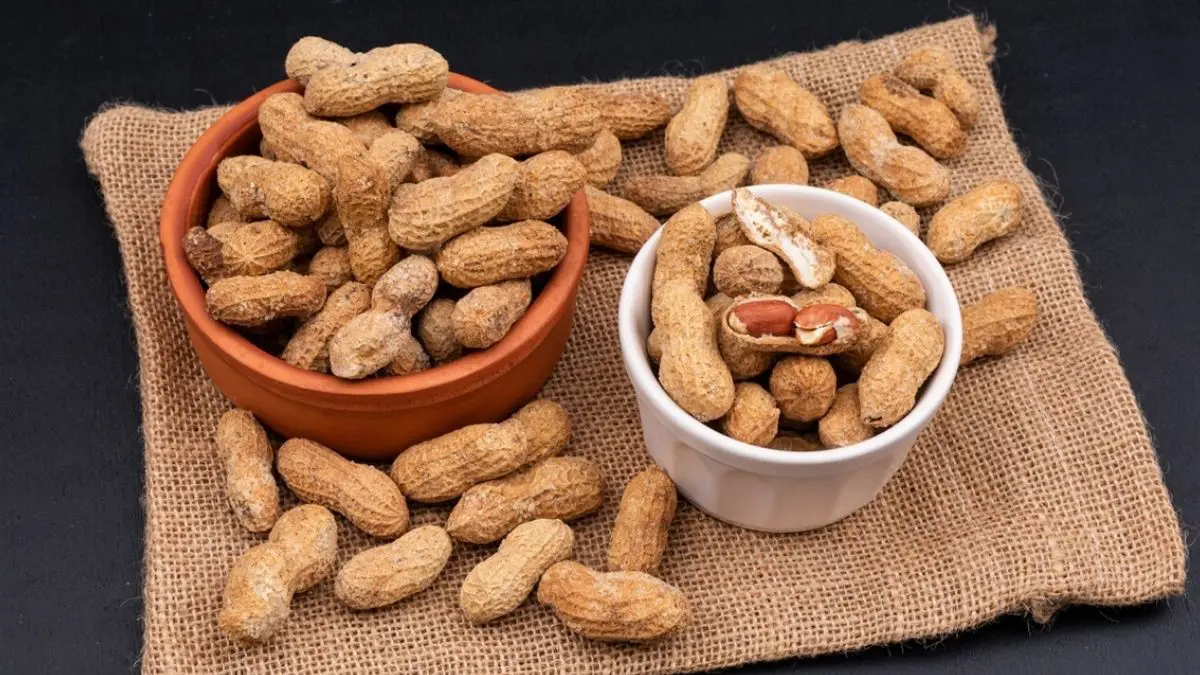 Benefits of Eating Peanuts During Fast: નવરાત્રિના ઉપવાસ દરમિયાન ...