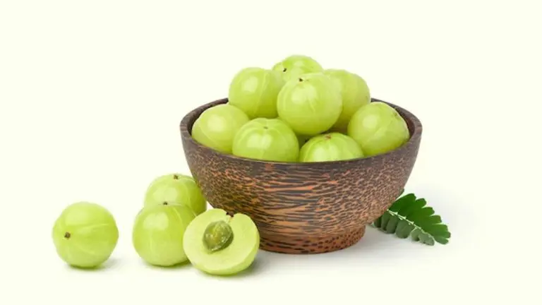 Amla Side Effects: આમળા એક સુપરફૂડ છે, પરંતુ આ 6 પ્રકારના લોકોએ આ ફળ ...