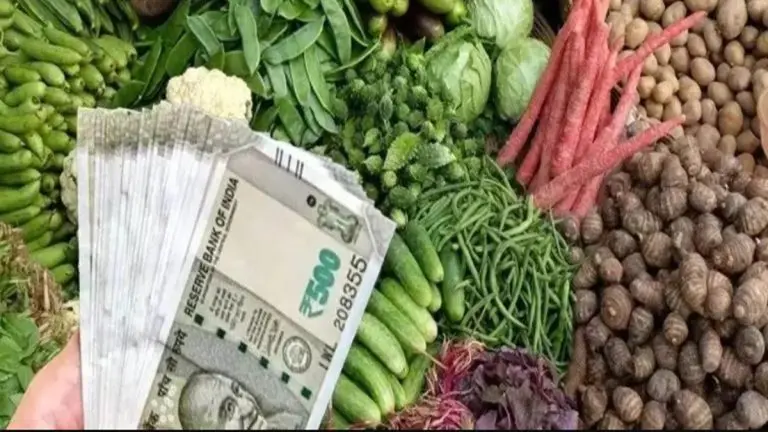 Wholesale Inflation: જથ્થાબંધ મોંઘવારીનો દર ઘટ્યો, WPI જાન્યુઆરી ...