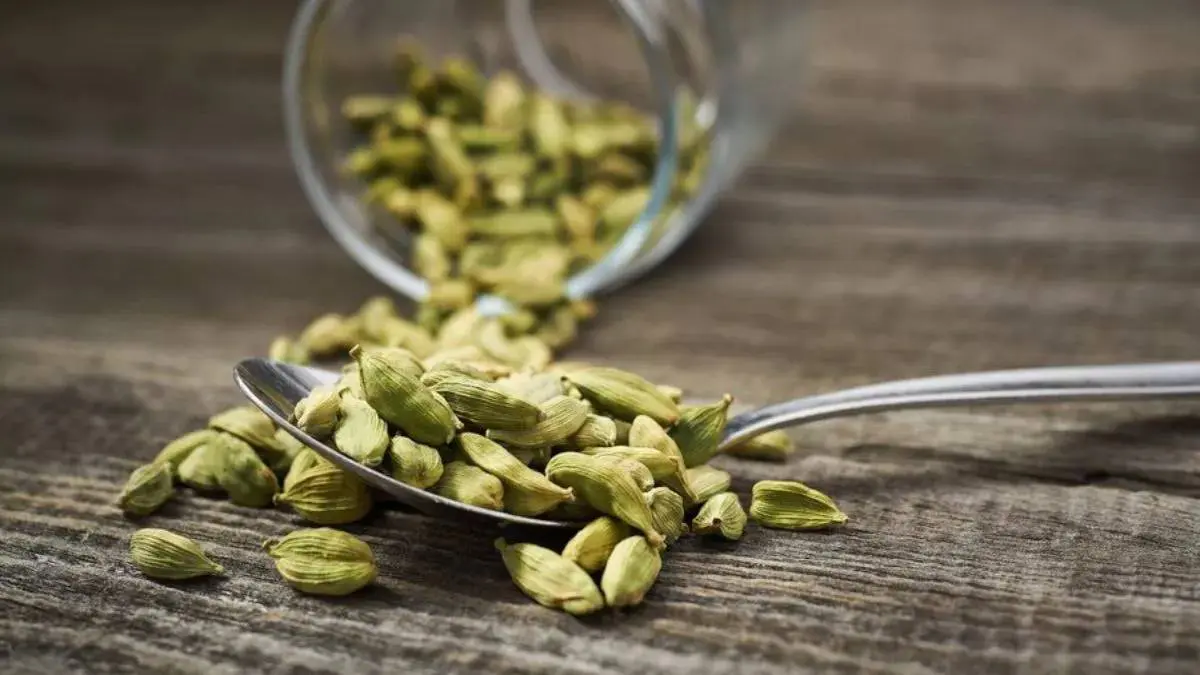 Cardamom Benefits: ઈલાયચીના ફાયદા, ગેરફાયદા અને ઘરગથ્થુ ઉપચાર જાણો ...
