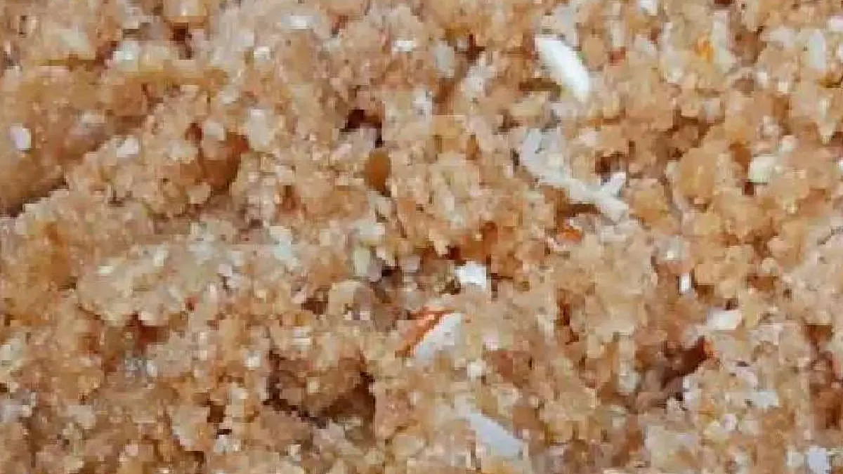 Gujarati Kachariyu Recipe l ઘરે કચરિયું કેવી રીતે બનાવવું l Kachariyu ...