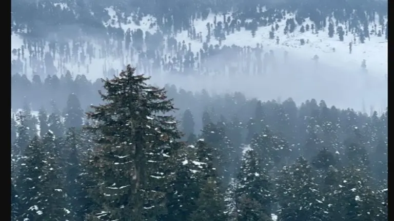 Kashmir Snow Travel: સિઝનની પહેલી બરફ વર્ષાથી ઢંકાયુ ધરતી પરનું સ્વર્ગ ...