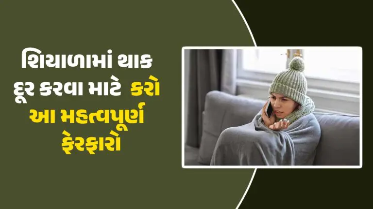 શિયાળામાં થાક દૂર કરવા માટે તમારી જીવનશૈલીમાં કરો આ મહત્વપૂર્ણ ફેરફારો ...