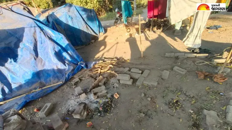 Surat News: સુરતના કઠોરમાં દીપડાનો આતંક, દીપડાએ આધેડ પર હુમલો કરતા ...