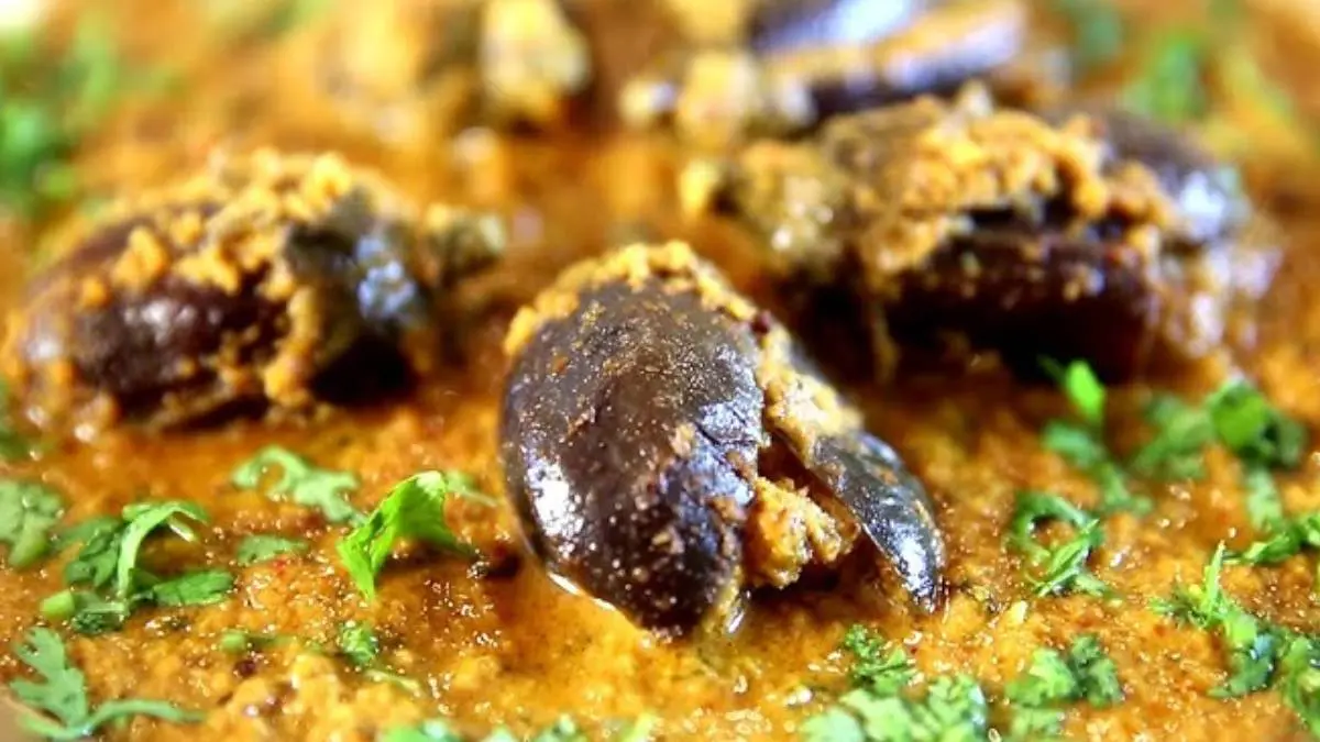 Stuffed Brinjal Recipe: ટેસ્ટી મસાલા સાથે આ રીતે બનાવો ભરેલા રીંગણાનું ...