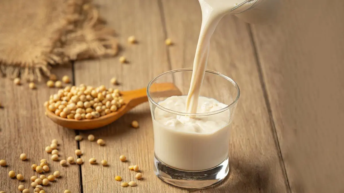 Vitamin B12: આ દૂધના સેવનથી વિટામિન B12 ની ઉણપ 21 દિવસમાં દૂર થશે ...