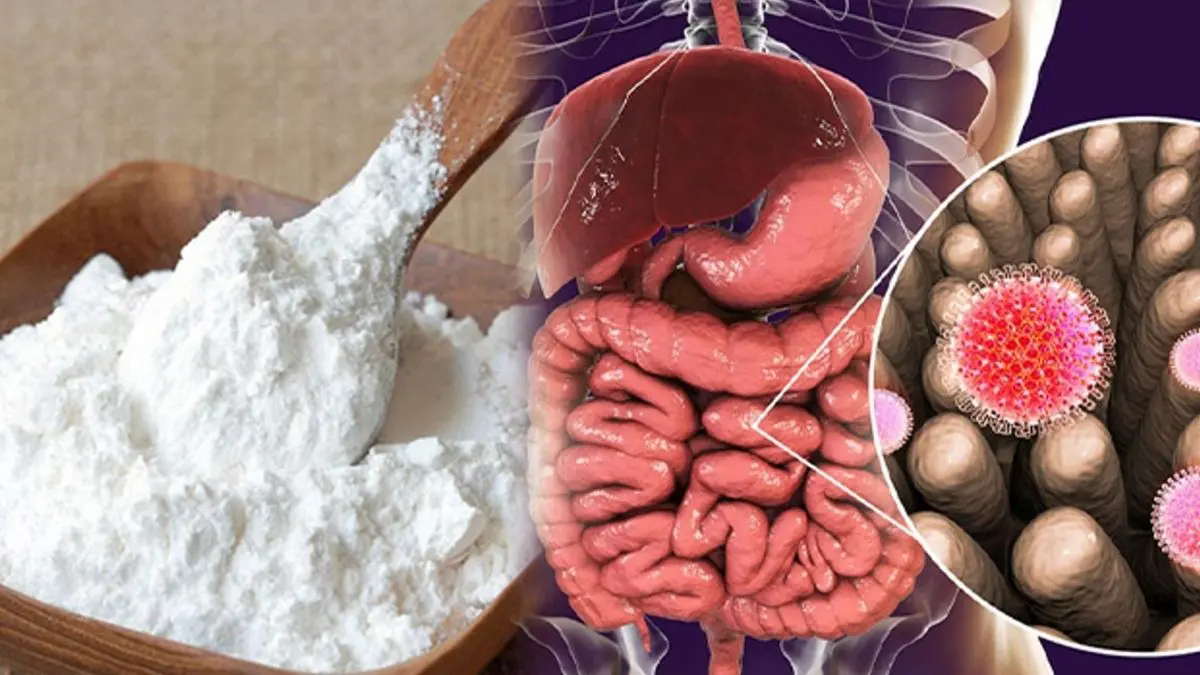 Does Maida Stick to Intestines: શું ખરેખર મેંદો આંતરડામાં ચોંટી જાય છે ...