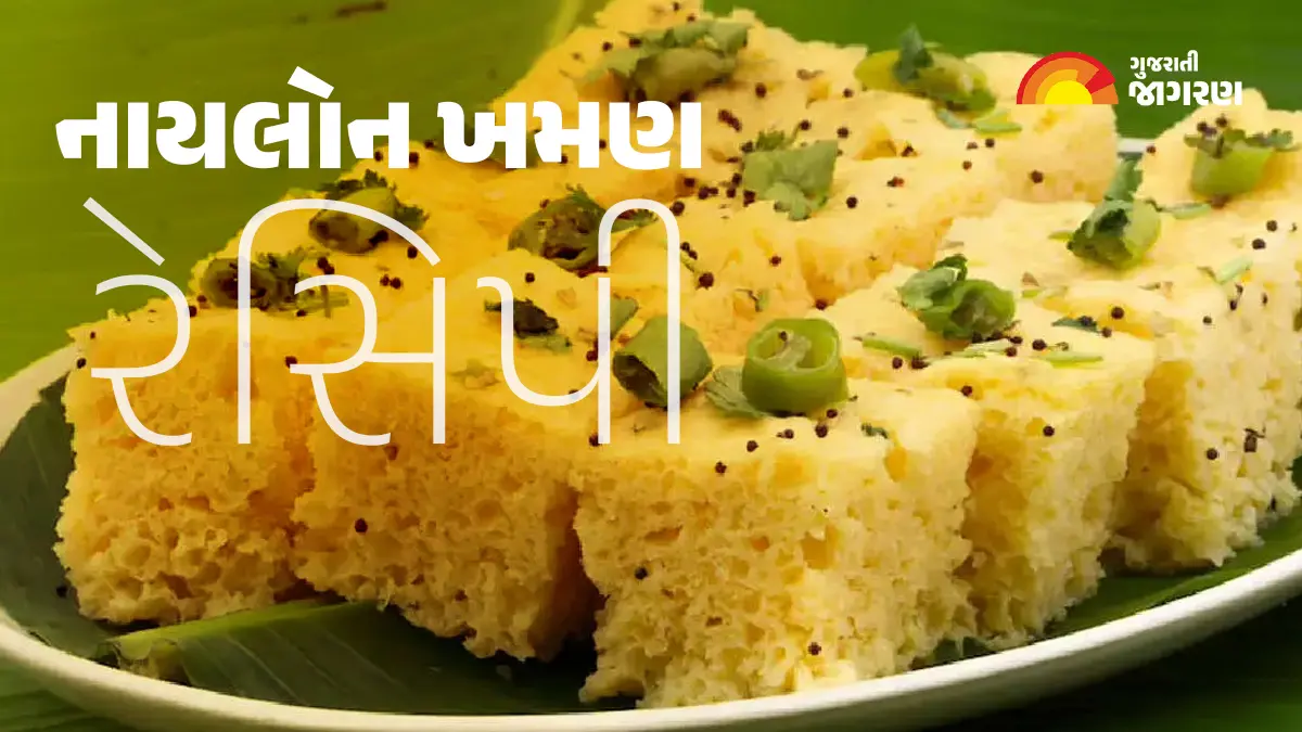 Nylon Khaman Recipe: વરસાદી સિઝનમાં બનાવો નાયલોન ખમણ, નોંધી લો રેસિપી ...