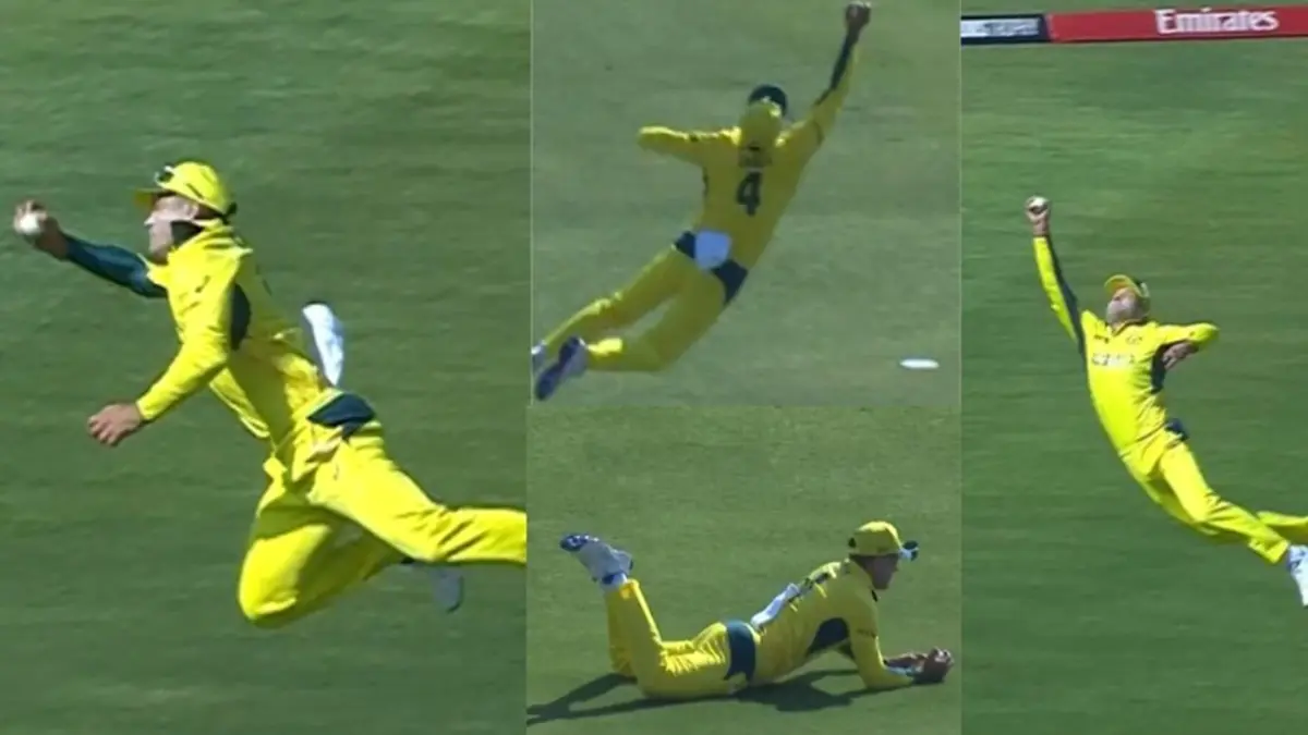 Alex Carey Brilliant Catch Video:એલેક્સ કેરીએ સુપરમેનની જેમ હવામાં ...