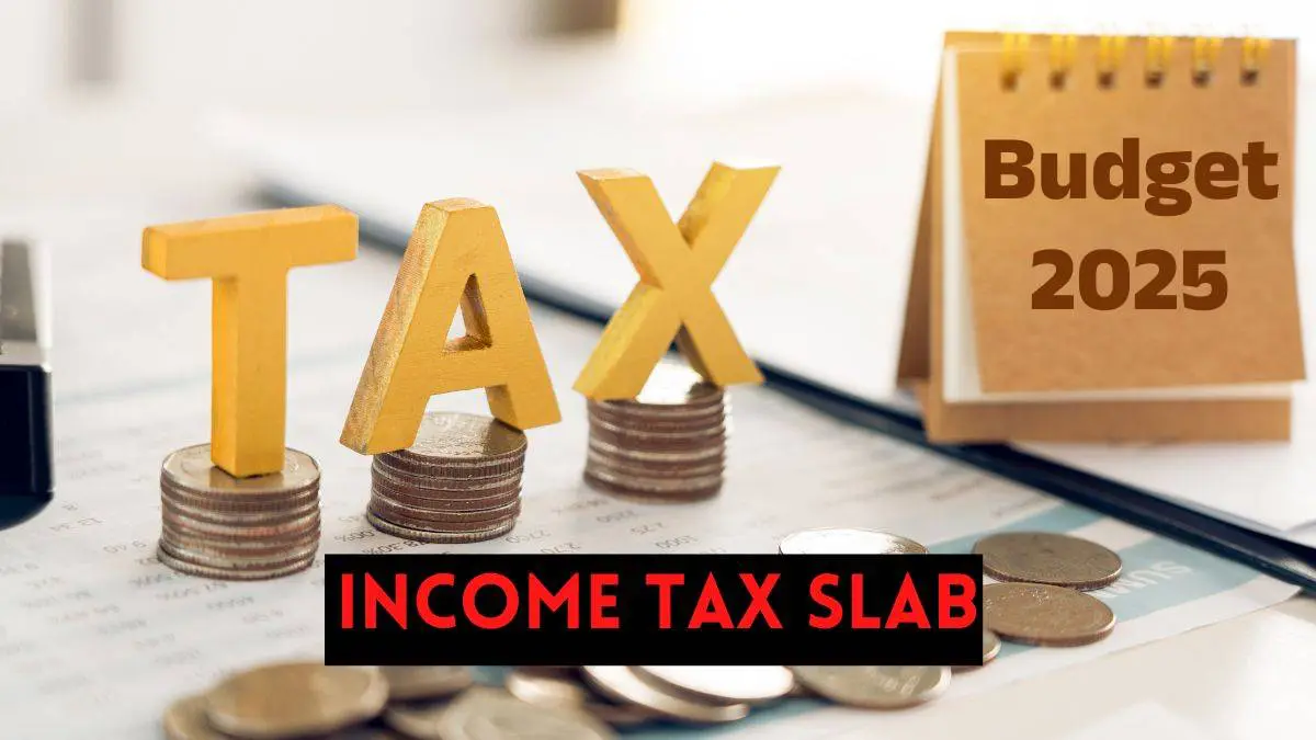 Income Tax Budget 2025 Live: મધ્યમ વર્ગને મોટી રાહત, 12 લાખ સુધીની આવક ...