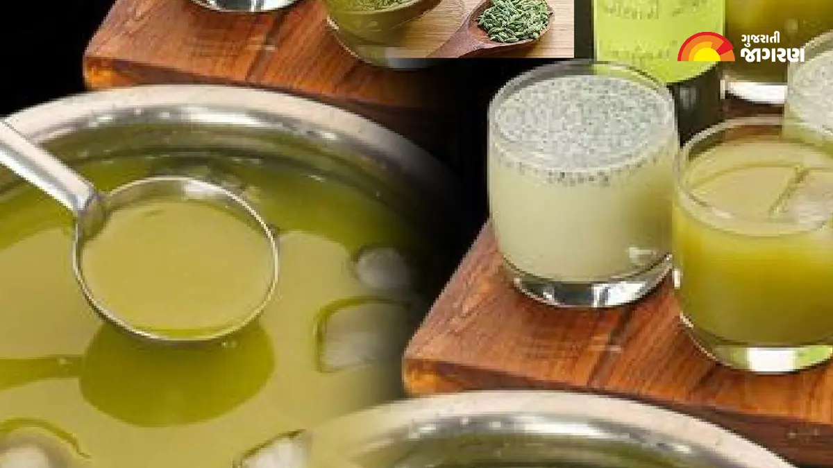 Variyali Sharbat Recipe: એક ગ્લાસ પીધા પછી બીજો માગશો, આ રીતે બનાવો ...