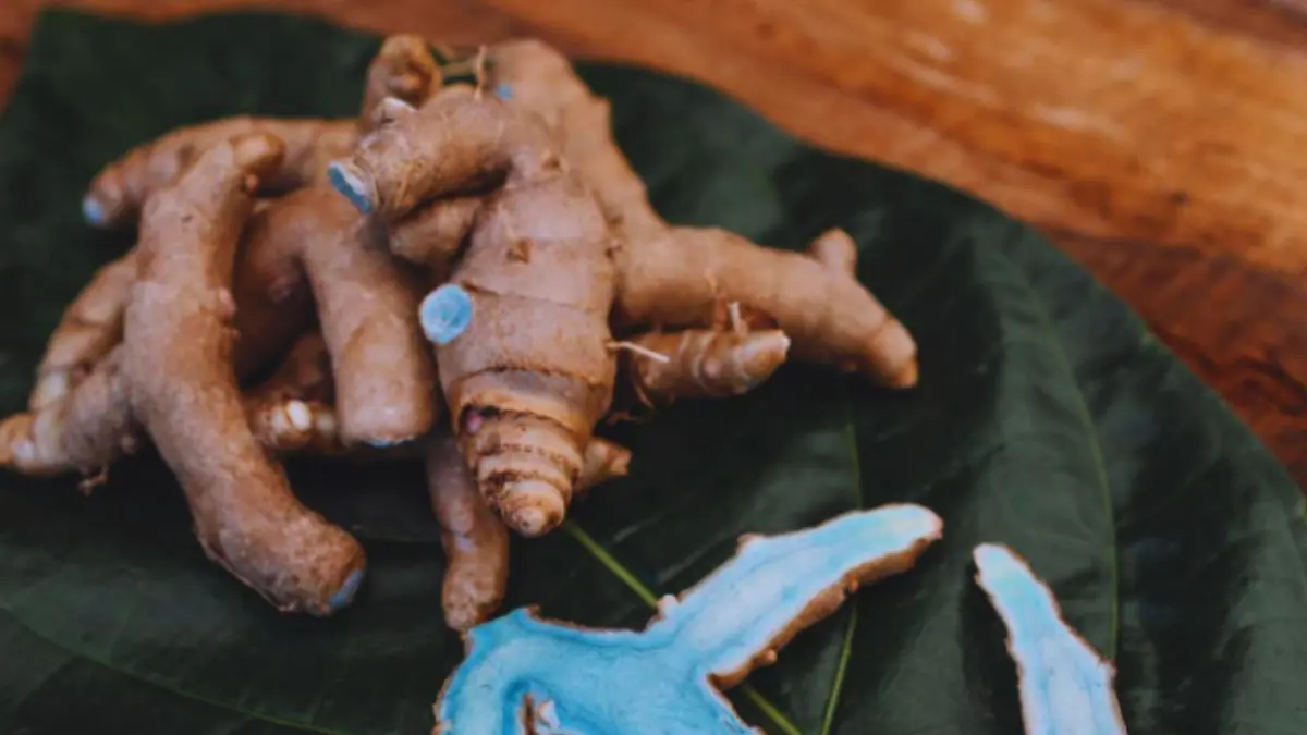 Black Turmeric Benefits: કેન્સરને રોકવામાં ફાયદાકારક છે કાળી હળદર, જાણો ...