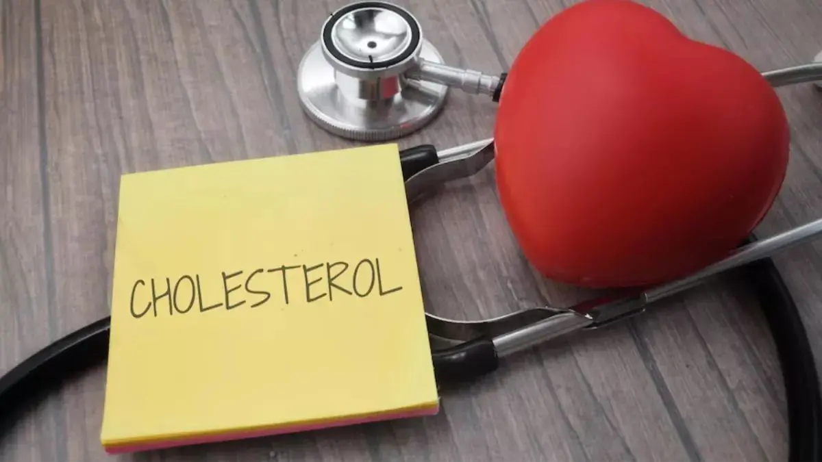 High Cholesterol: રસોડાના આ 7 મસાલા હૃદયને રાખશે સ્વસ્થ, ખરાબ ...