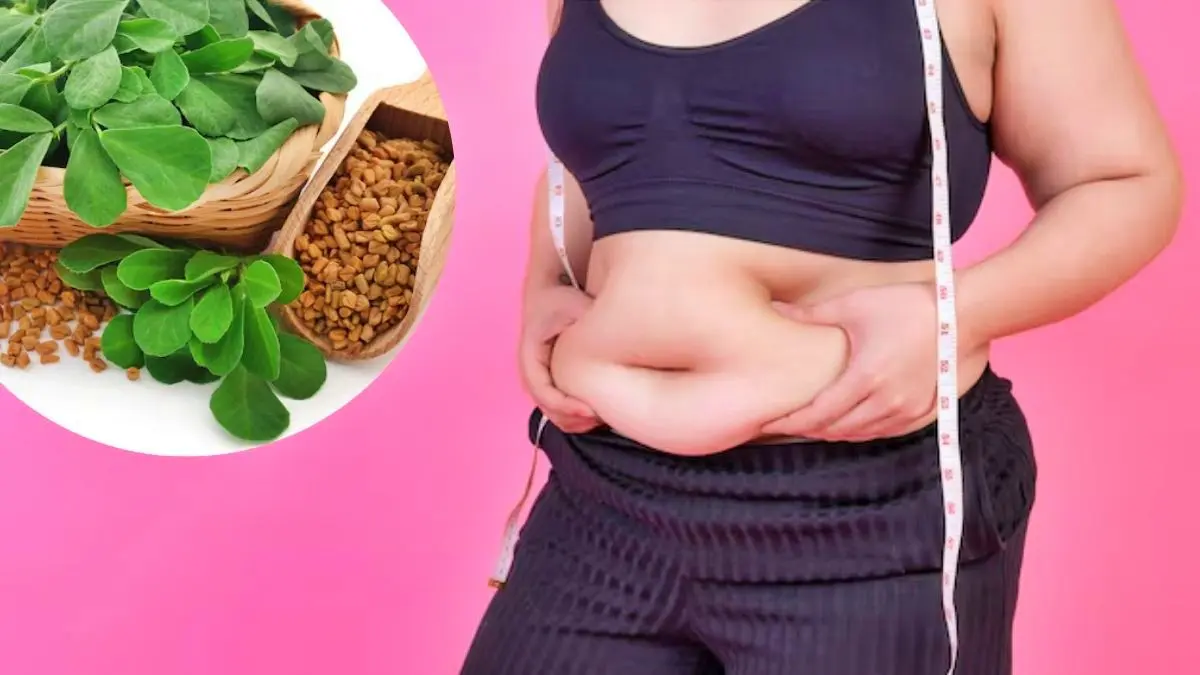Weight Loss: પેટની ચરબીને 20 દિવસમાં ઓગાળી દેશે મેથી, આ રીતે કરો તેનો ઉપયોગ - Fenugreek will ...