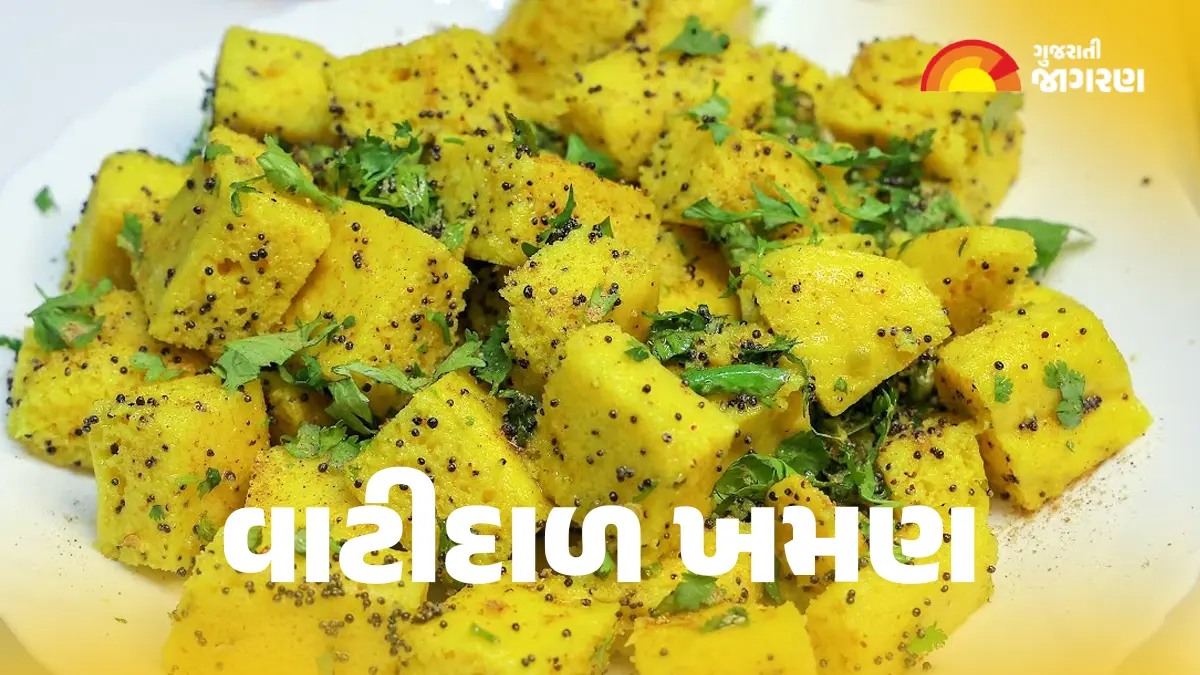 Vati Dal Khaman: સાંજના નાસ્તામાં બનાવો વાટીદાળ ખમણ, નોંધી લો રેસિપી ...