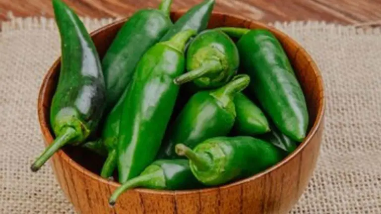 Green chilli benefits: દરરોજ લીલા મરચાં ખાવાના સ્વાસ્થ્ય લાભો જાણો