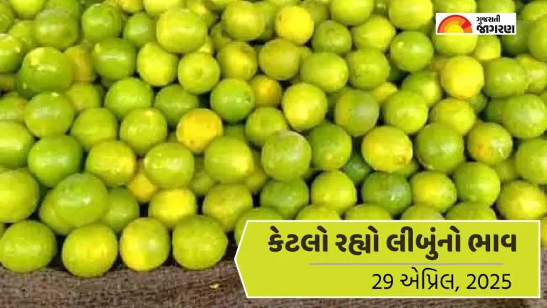 લીંબુ ના બજાર ભાવ આજના ગુજરાત 29 April 2025 | લીંબુ ના બજાર ભાવ | Lemon Price Today in Gujarat ...